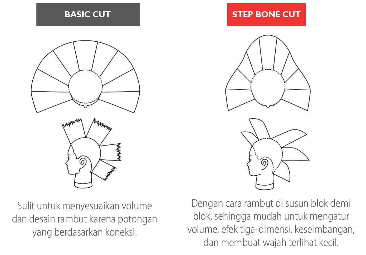 Step Bone Cut - One Piece hair studio